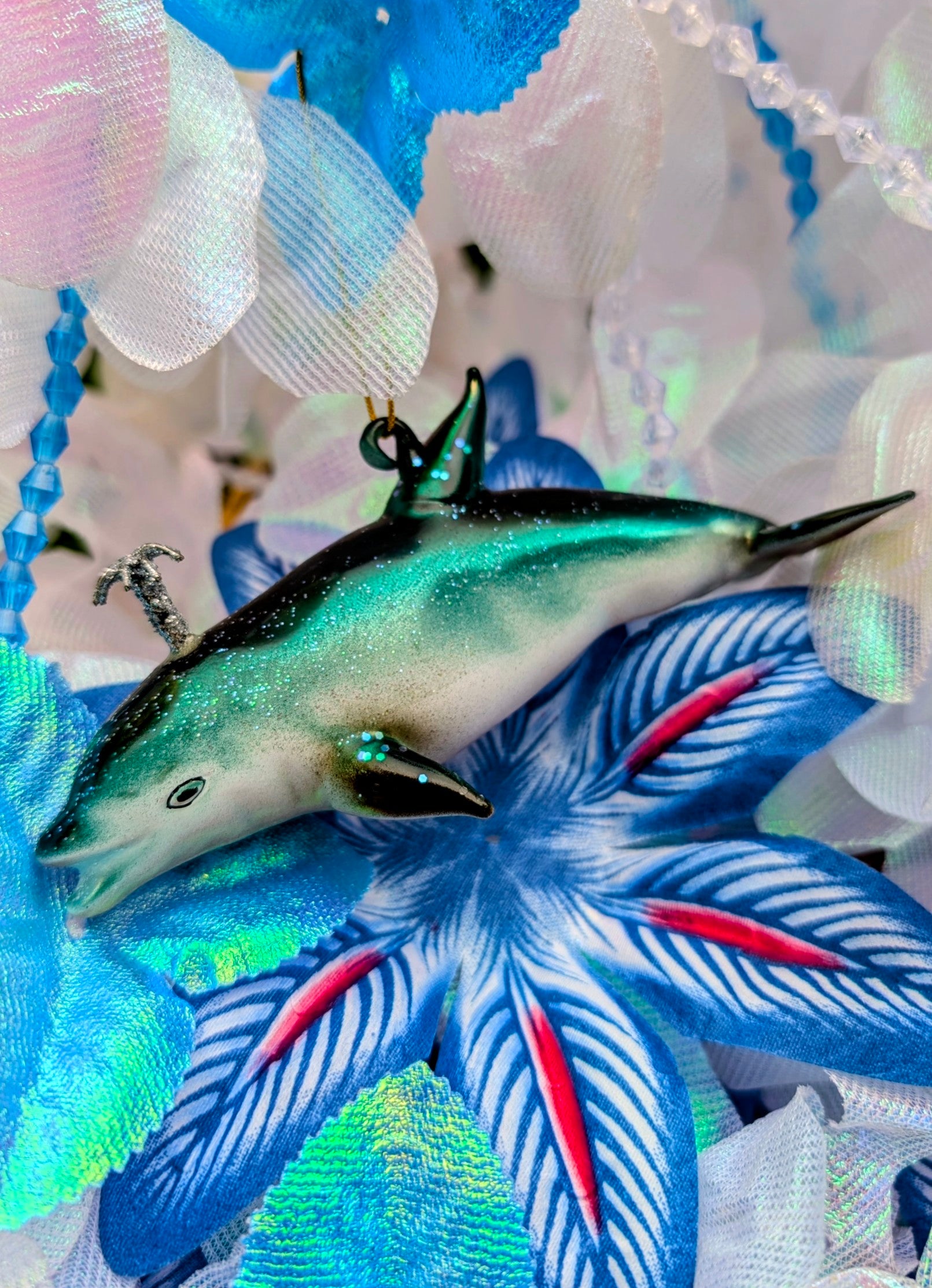 Dolphin – blackout shop brighton